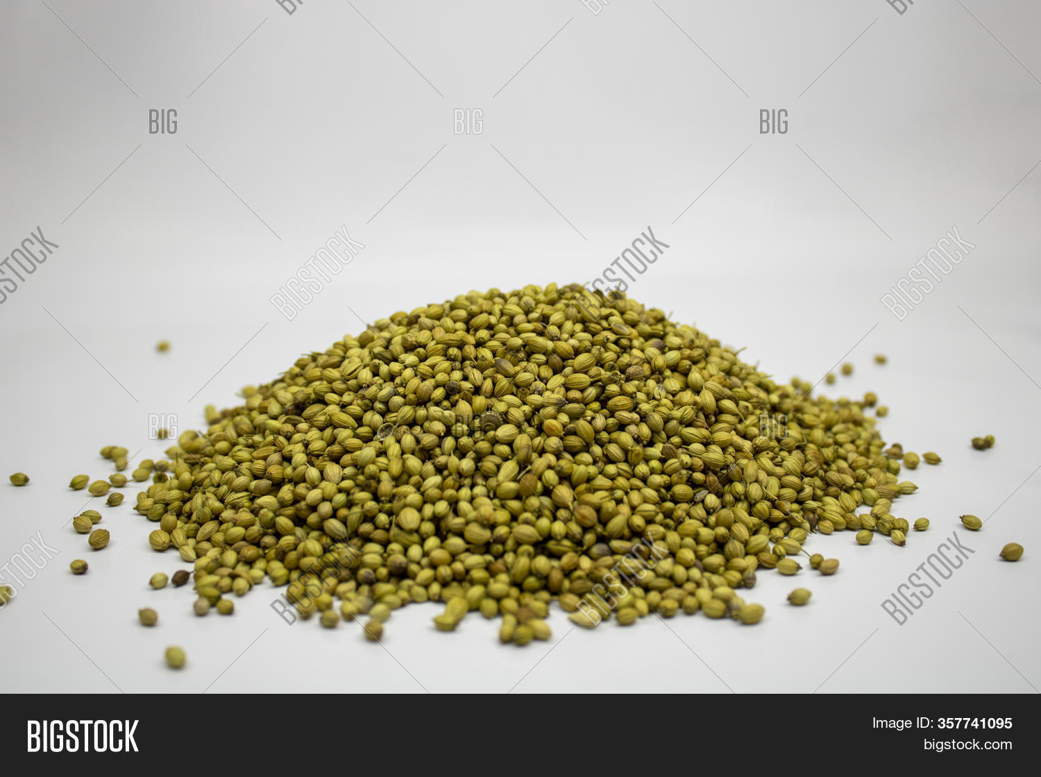 White Coriander Seeds