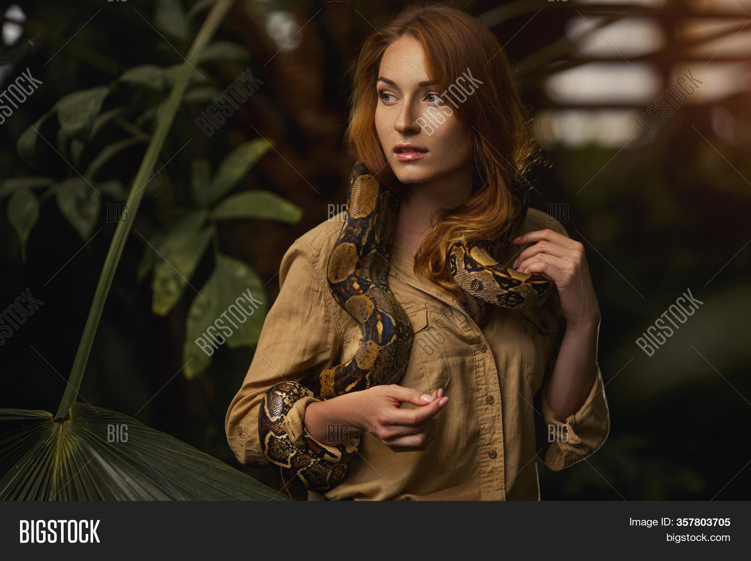 Beautiful Girl Python Image & Photo (Free Trial) | Bigstock