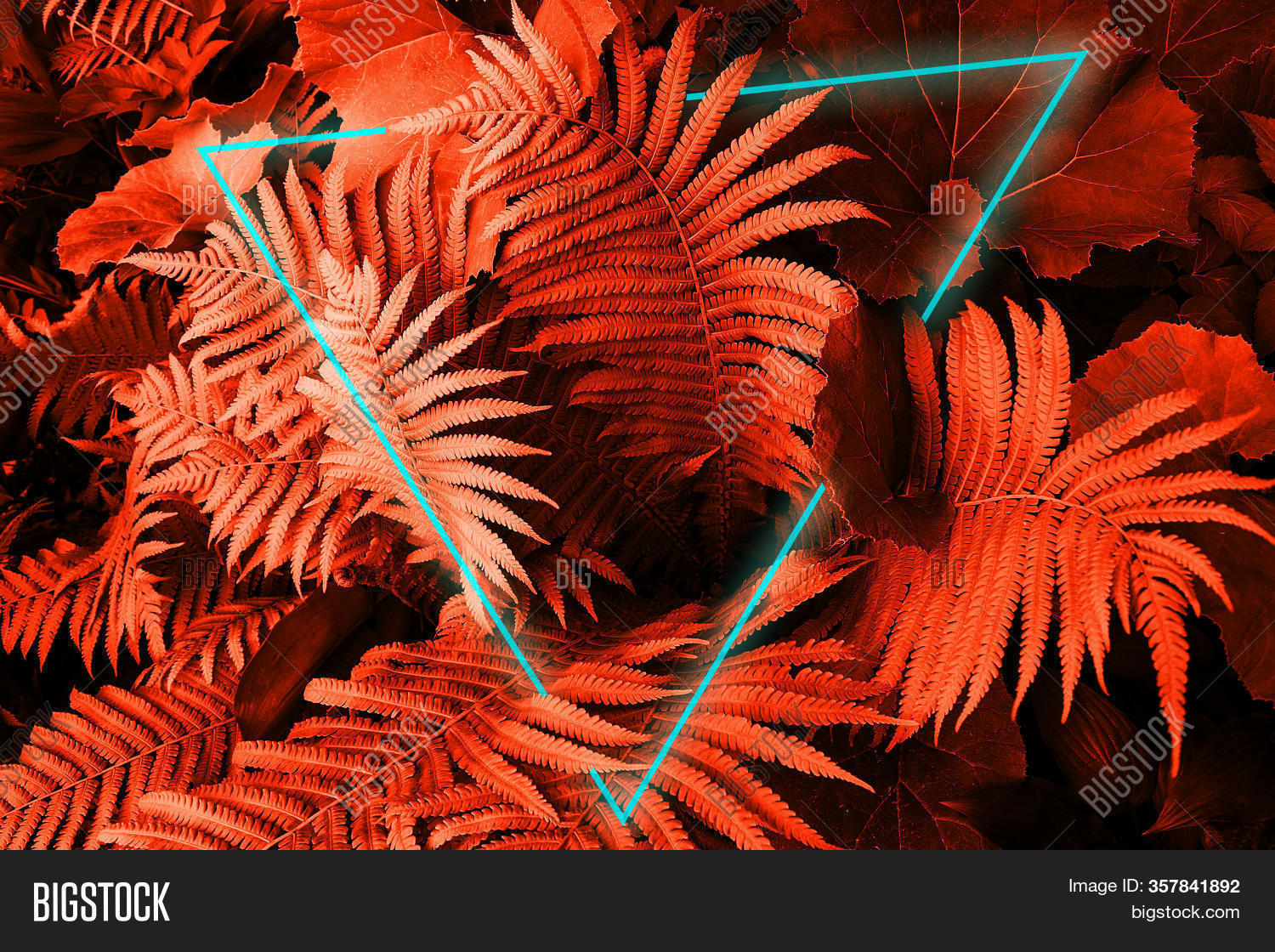 Fern Forest Lush Lava Image & Photo (Free Trial) | Bigstock