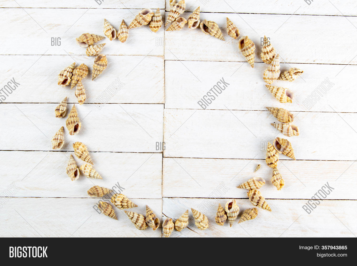 Shells Arranged Circle Image & Photo (Free Trial) | Bigstock