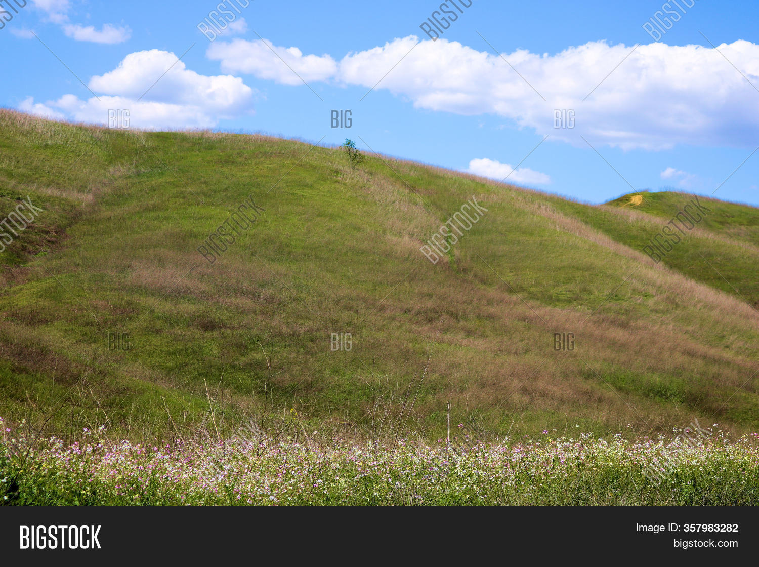 Lush Green Hills Image & Photo (Free Trial) | Bigstock
