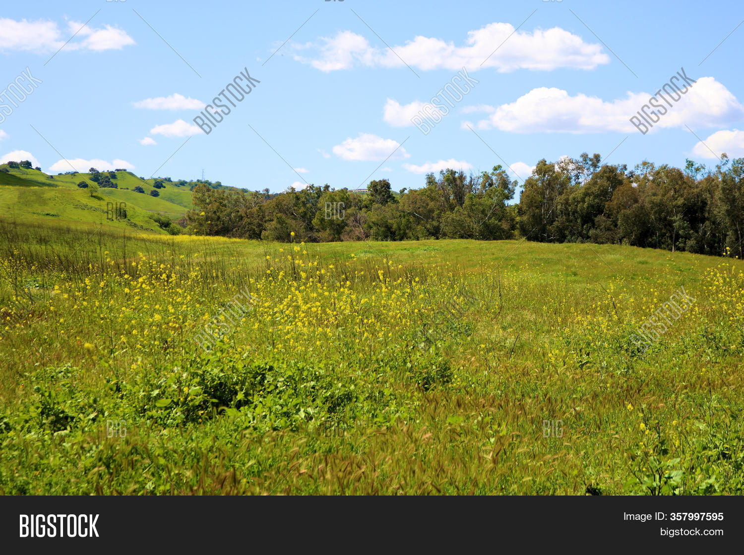 Lush Green Hillsides Image & Photo (Free Trial) | Bigstock