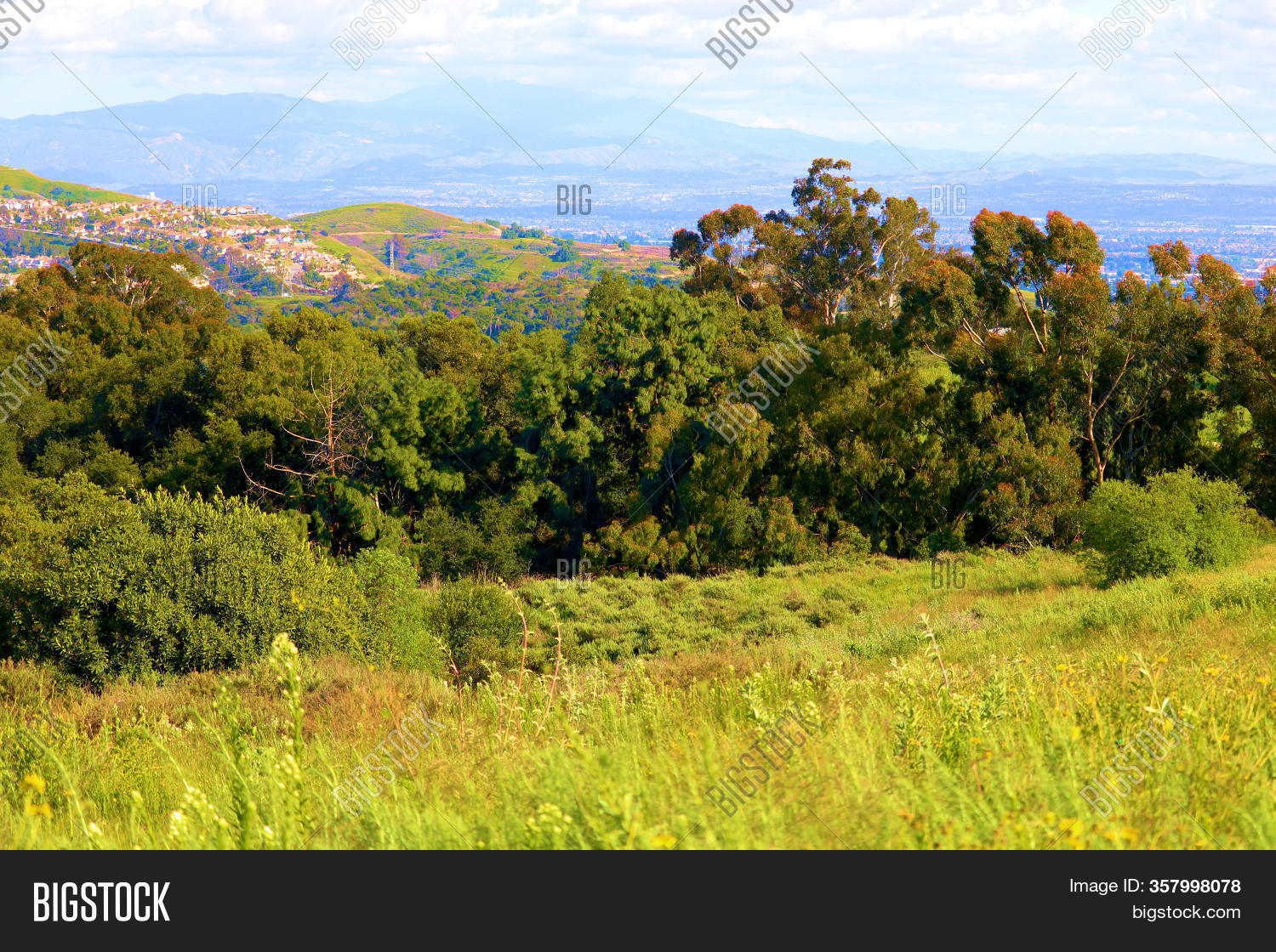Rolling Hills Image & Photo (Free Trial) | Bigstock