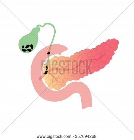Vector Isolated Vector & Photo (Free Trial) | Bigstock