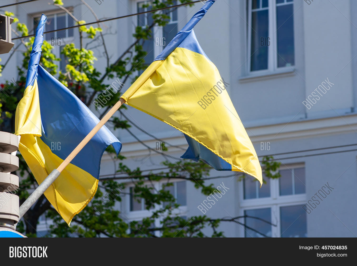 Ukraine Flag Large Image & Photo (Free Trial) | Bigstock