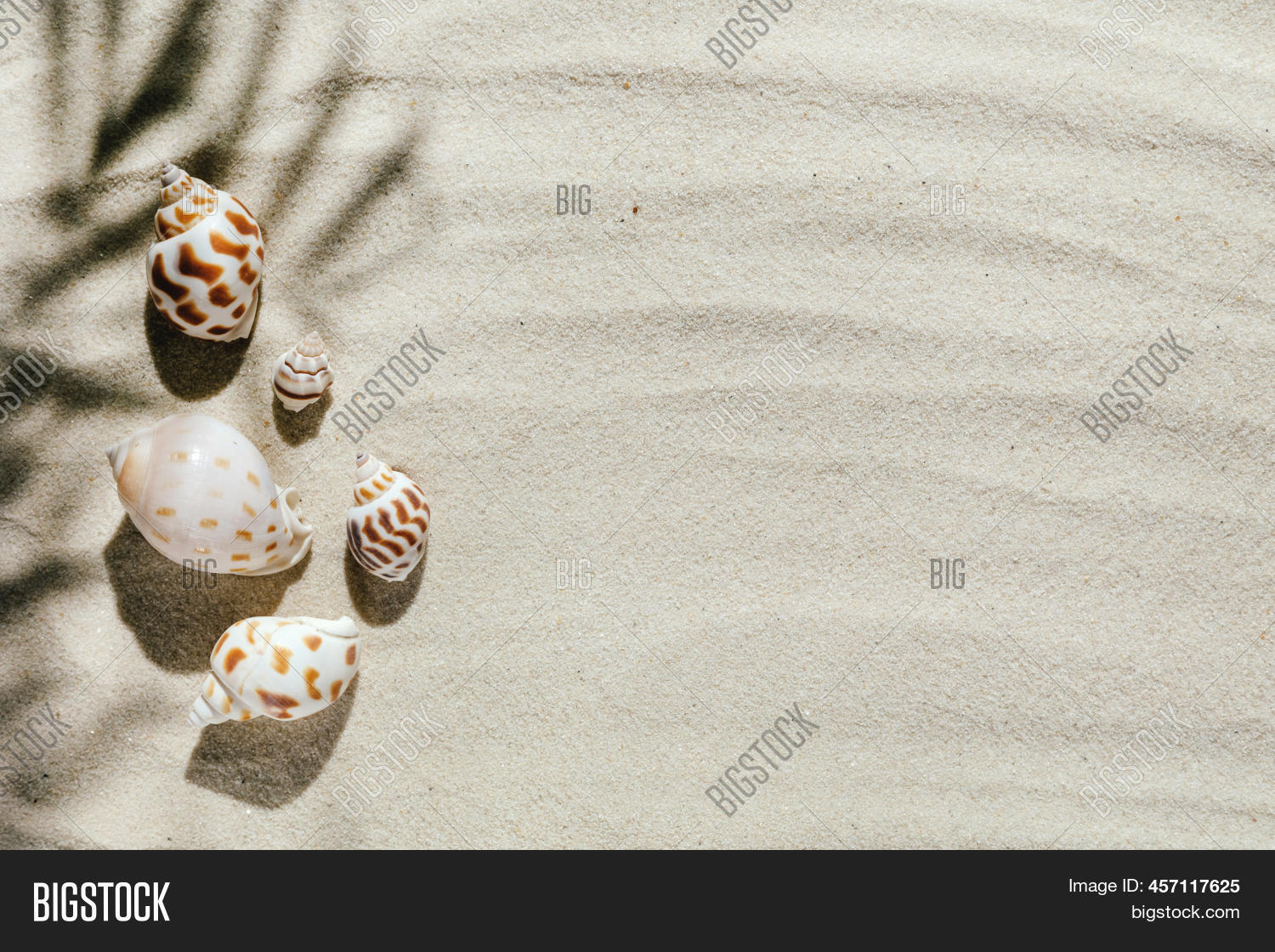 Background Light Beach Image & Photo (Free Trial) | Bigstock
