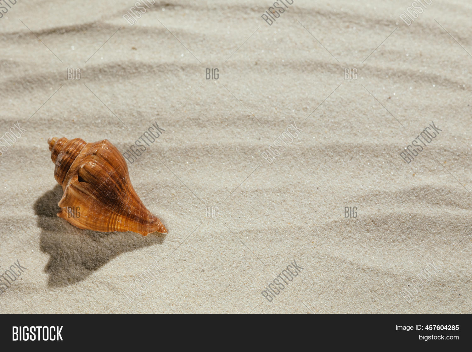 Background Light Beach Image & Photo (Free Trial) | Bigstock