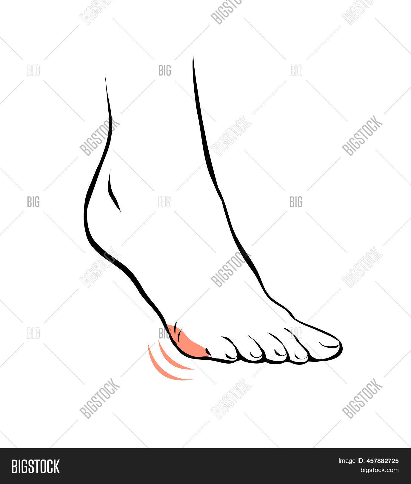 Line Sketch Female Leg Image & Photo (Free Trial) | Bigstock