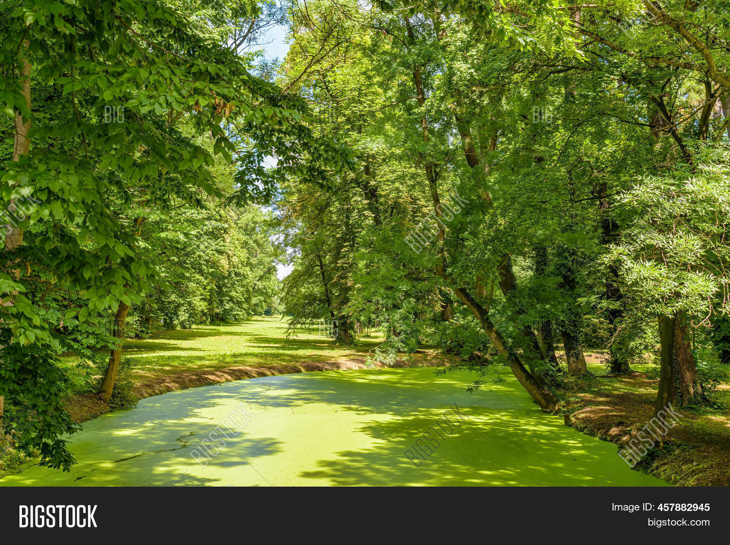 Castle Pond Park Image & Photo (Free Trial) | Bigstock