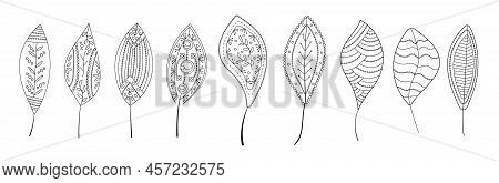 Leaves Vector Set In Line Art Style. Ethnic Tribal Leaf In Hand Drawn ...