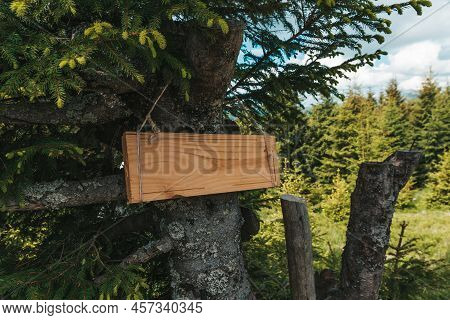 Old Wooden Signpost. Image & Photo (Free Trial) | Bigstock