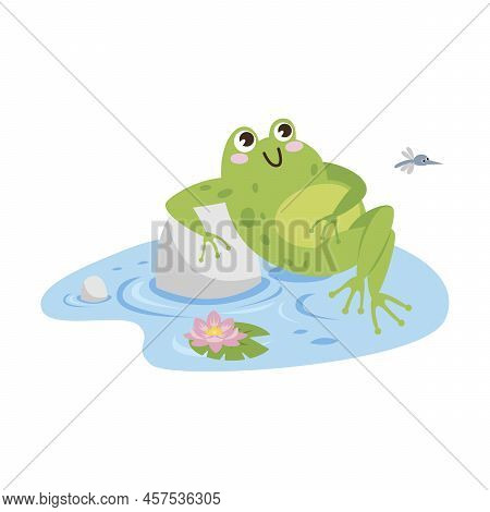 Frog Jumping Into Pond Cartoon