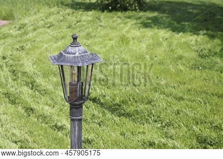 Partially Cut Grass Image & Photo (Free Trial) | Bigstock