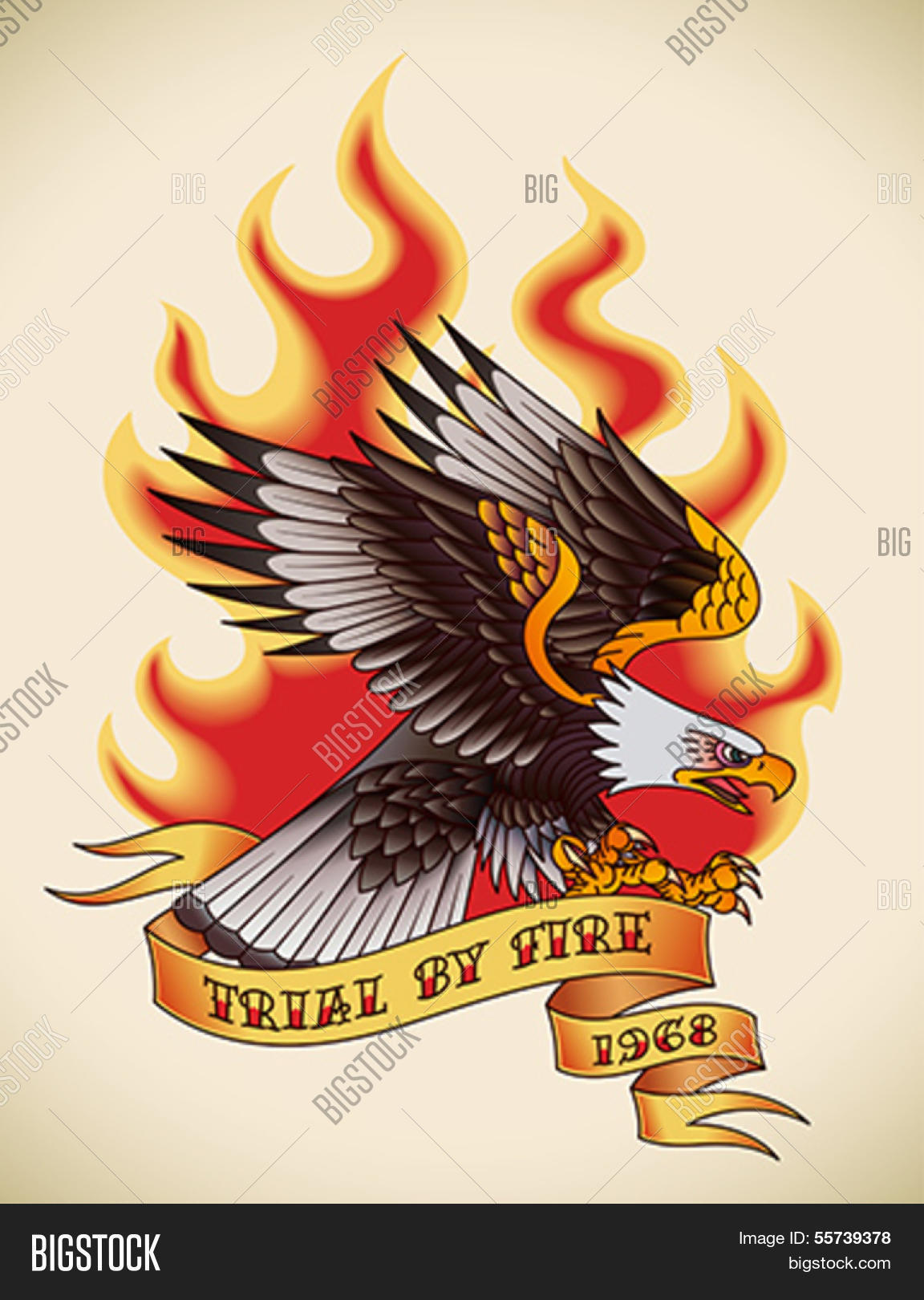 Bald Eagle Attacking Vector & Photo (Free Trial) | Bigstock