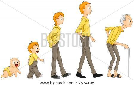 Stages Of Life Images, Illustrations & Vectors (Free) - Bigstock