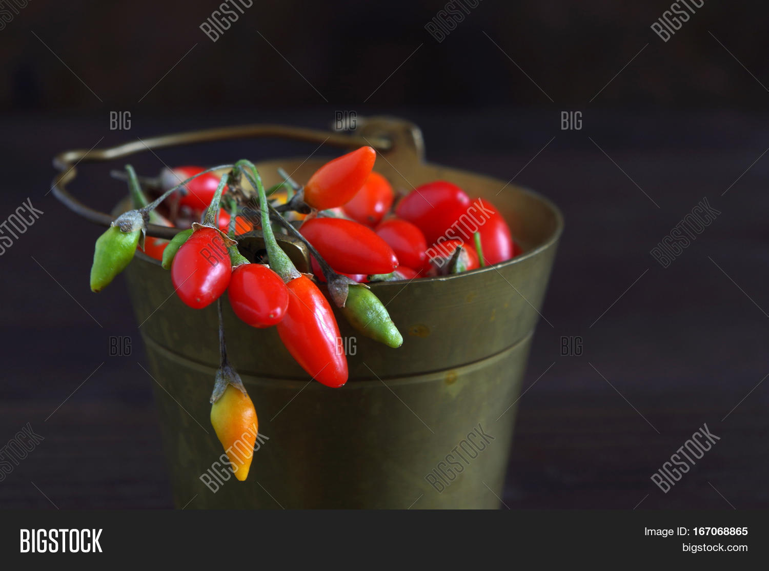 Fresh Healthy Goji Image & Photo (Free Trial) | Bigstock