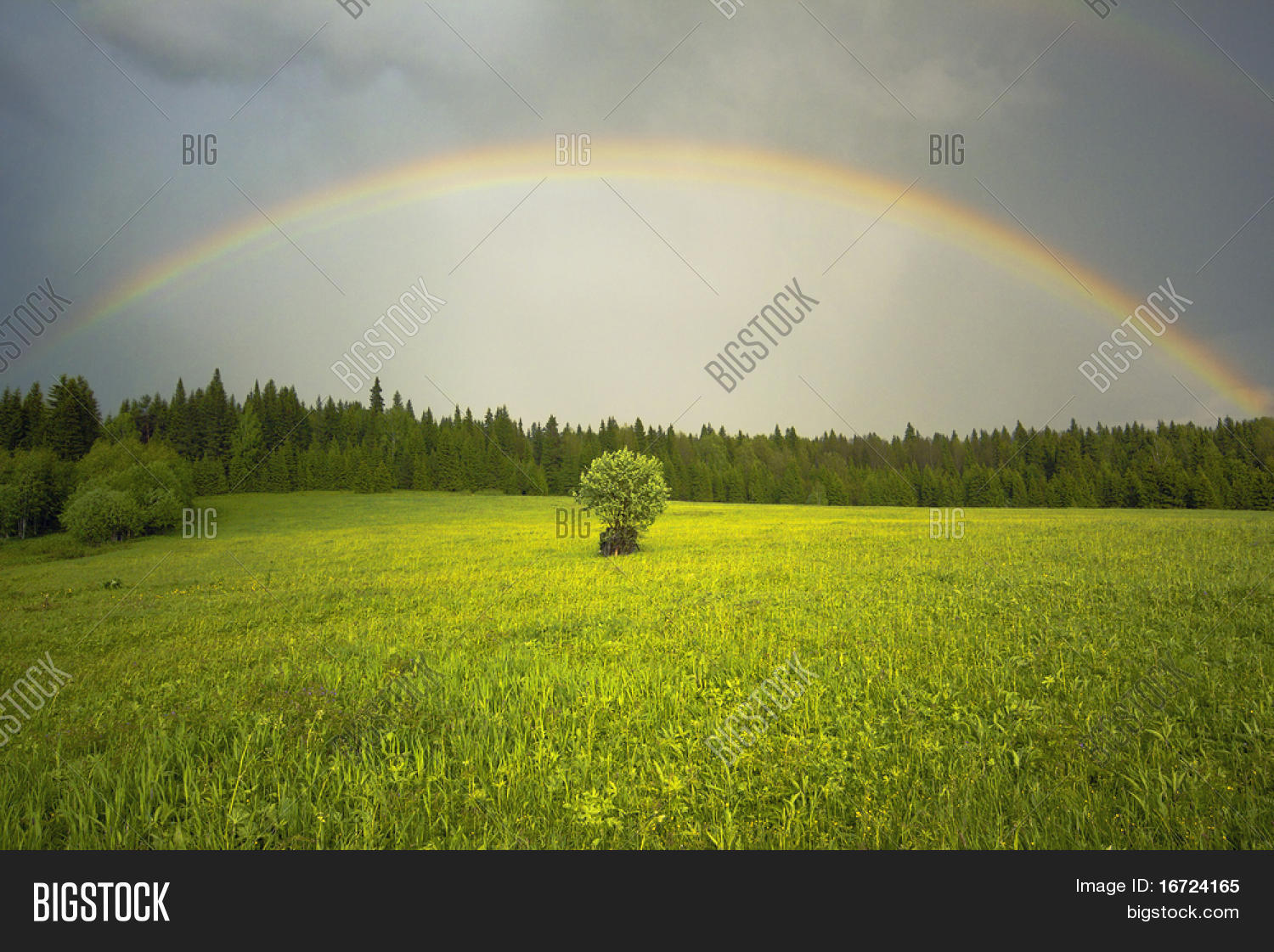 Rainbow Over Field Image & Photo (Free Trial) | Bigstock