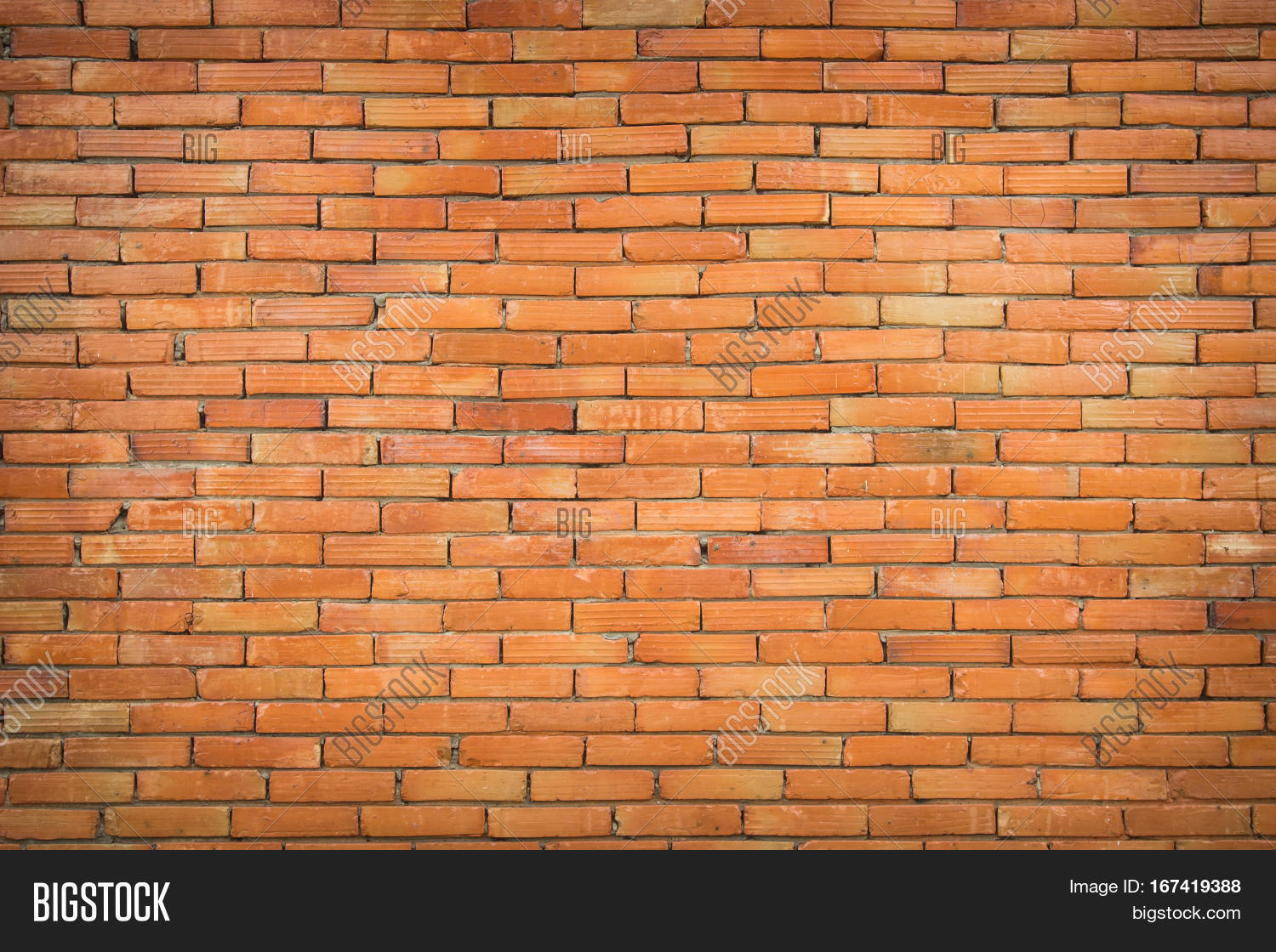 Tile Wall High Image & Photo (Free Trial) | Bigstock