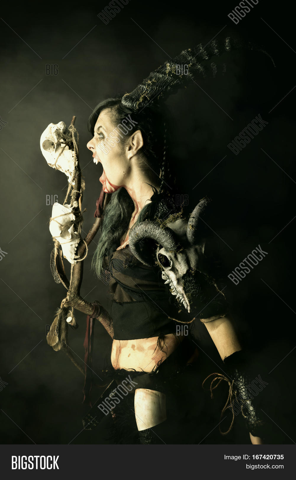 Sorceress Image & Photo (Free Trial) | Bigstock