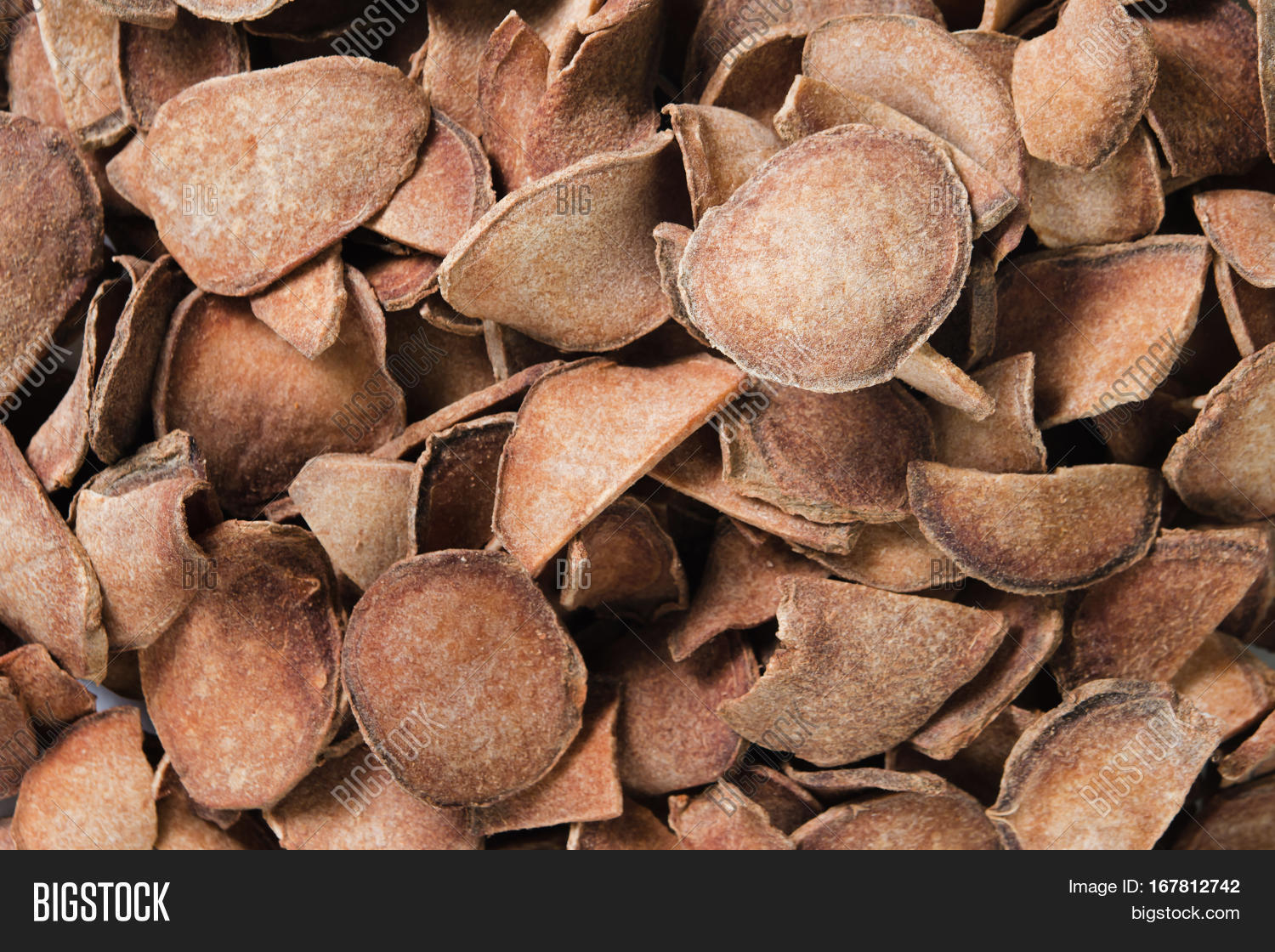 Curcuma Comosa Roxb. Image & Photo (Free Trial) | Bigstock