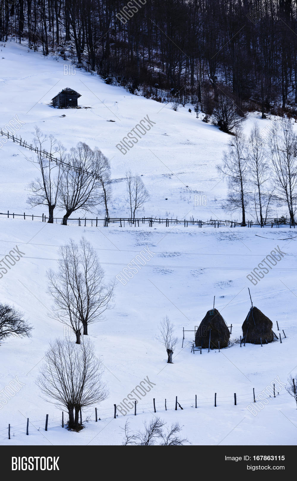 Haystacks Winter Image & Photo (Free Trial) | Bigstock