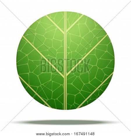 Green Leaf Round Vector & Photo (Free Trial) | Bigstock