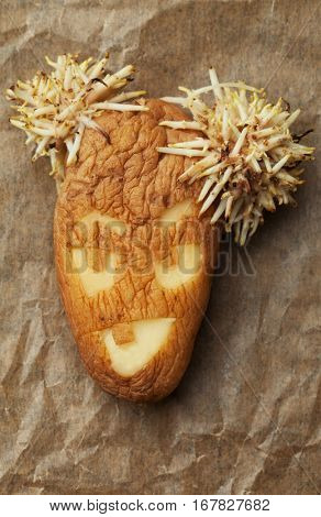 Rotten Potato Angry Image & Photo (Free Trial) | Bigstock