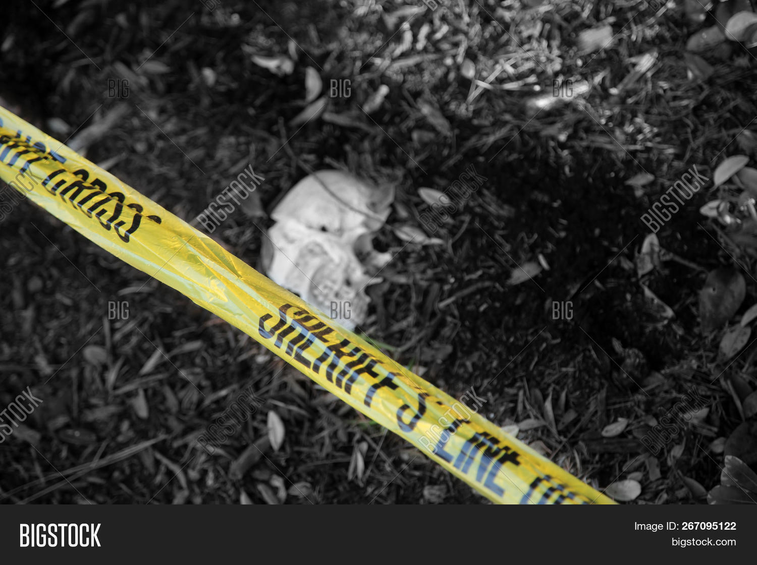 Crime Scene. Human Image & Photo (Free Trial) | Bigstock