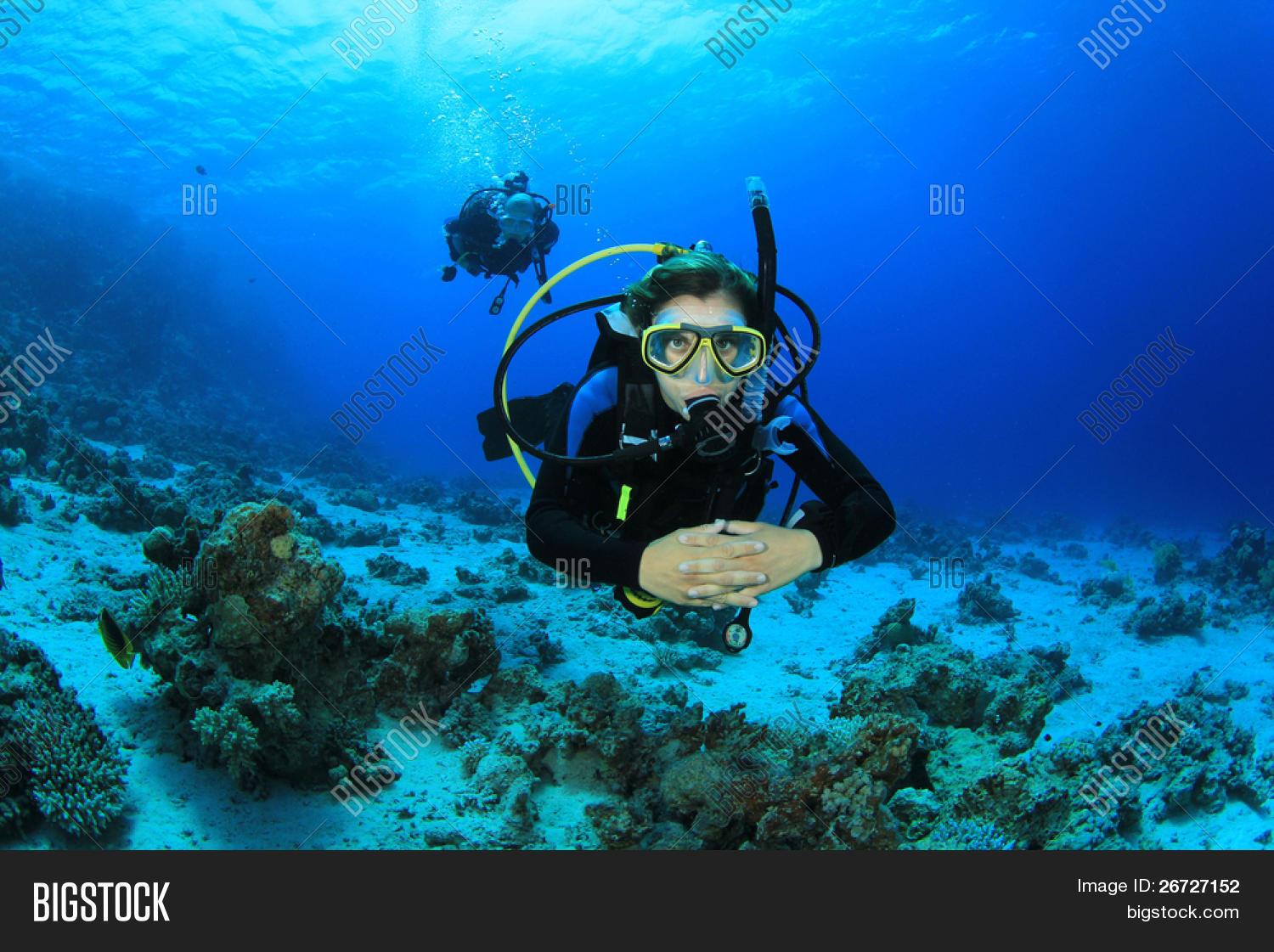 Young Woman Scuba Image & Photo (Free Trial) | Bigstock