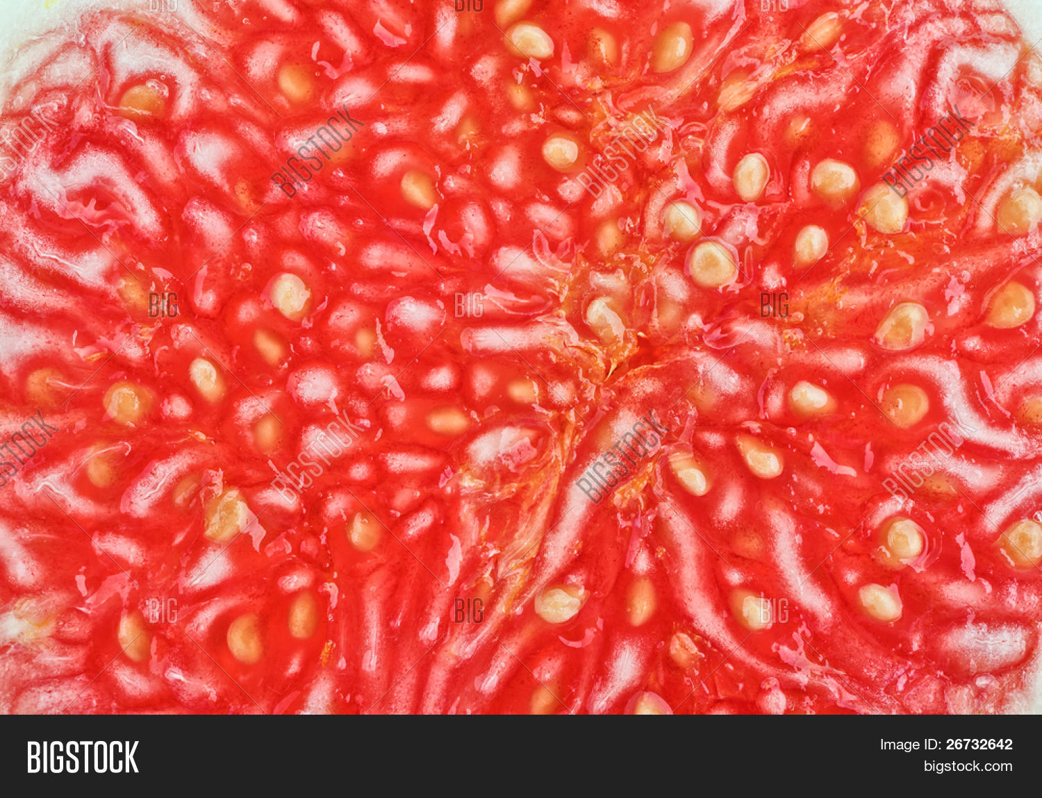 Cross-section Fig Tree Image & Photo (Free Trial) | Bigstock