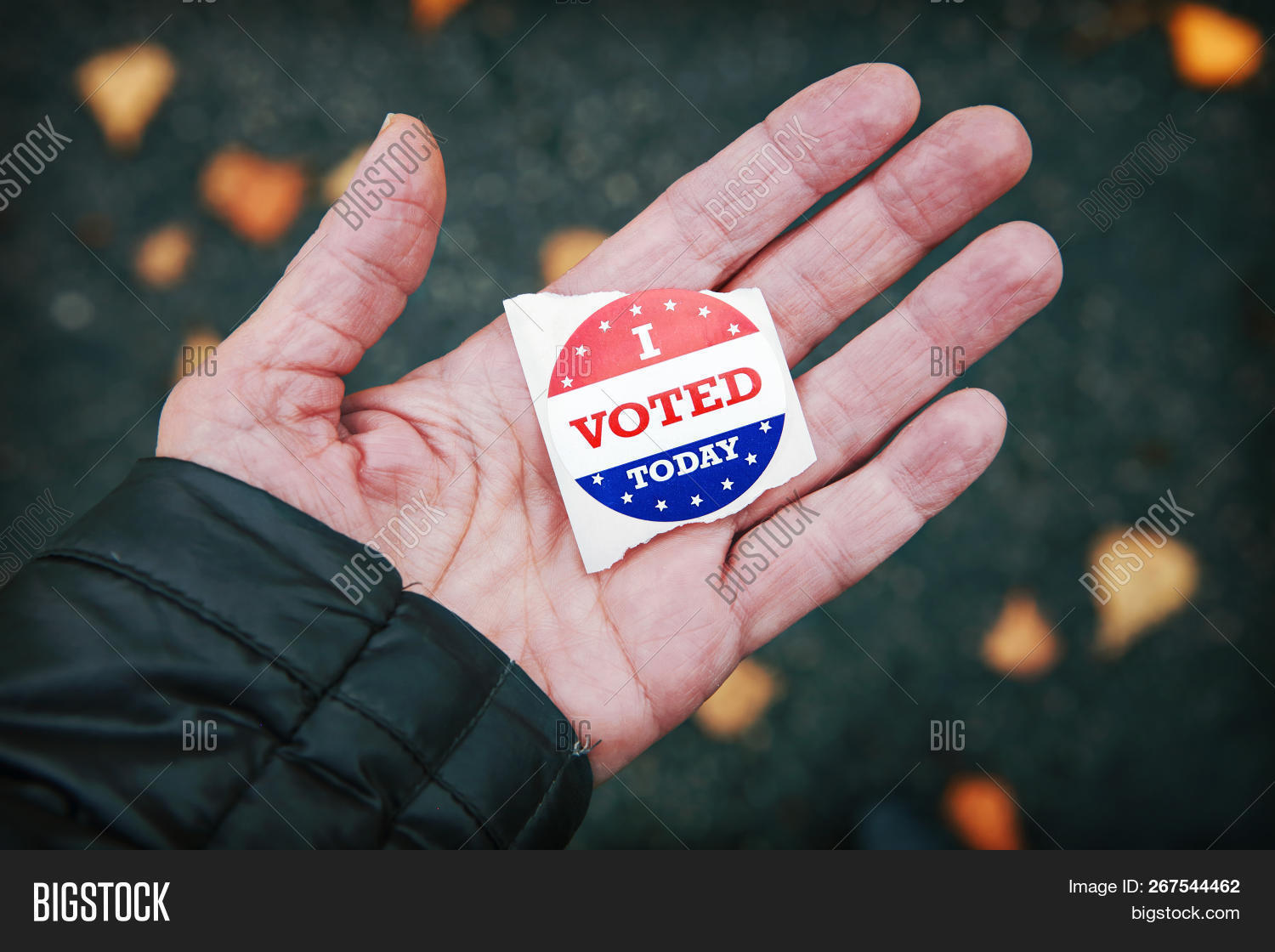 Voted Today Sticker Image & Photo (Free Trial) | Bigstock
