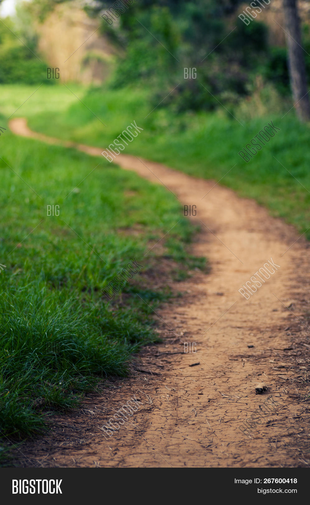 Well Worn Footpath Image & Photo (Free Trial) | Bigstock