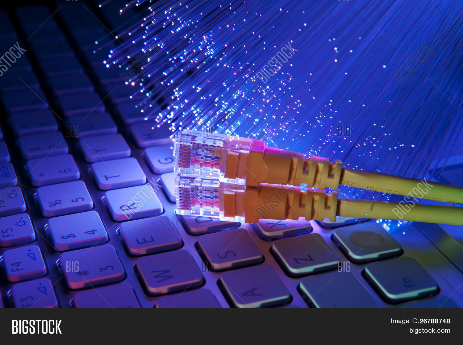 Network Cable Closeup Image & Photo (Free Trial) | Bigstock