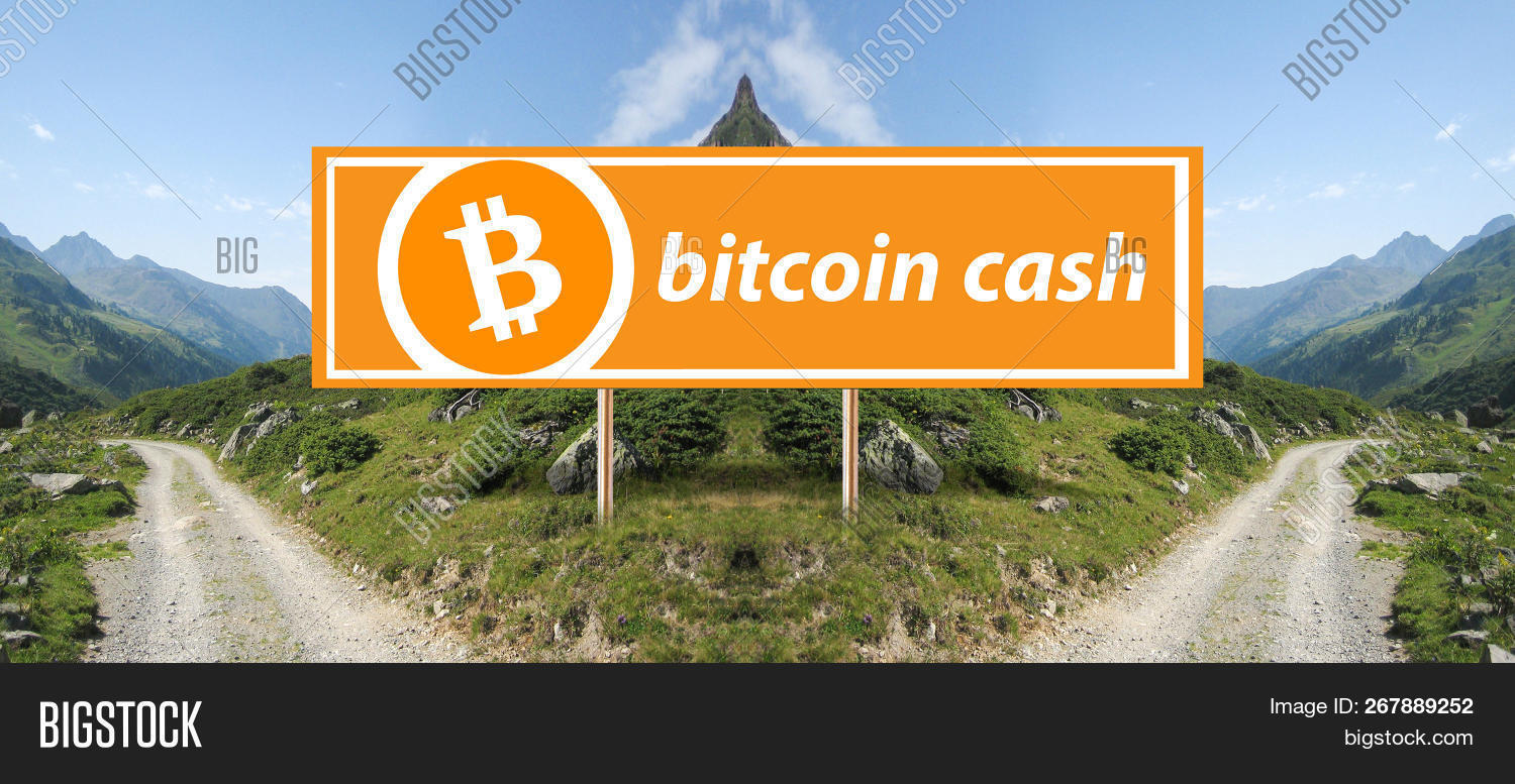 Concept Bitcoin Cash Image & Photo (Free Trial) | Bigstock