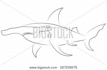 Black Line Hammerhead Vector & Photo (Free Trial) | Bigstock