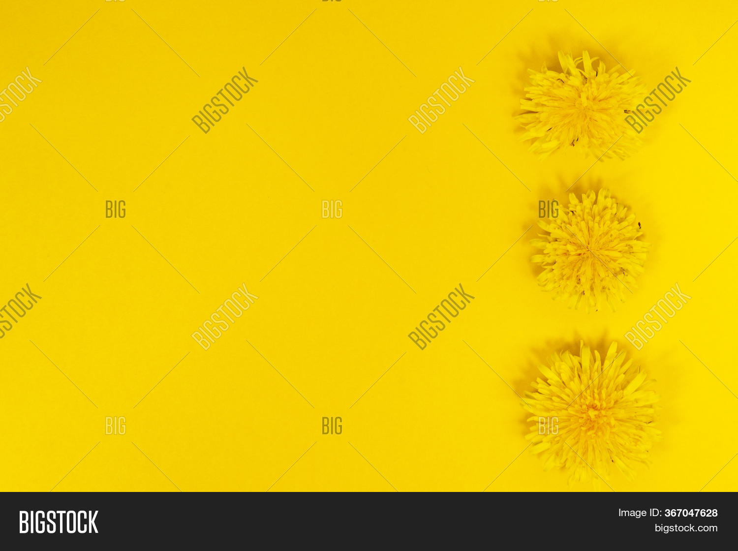 Beautiful Vibrant Image & Photo (Free Trial) | Bigstock