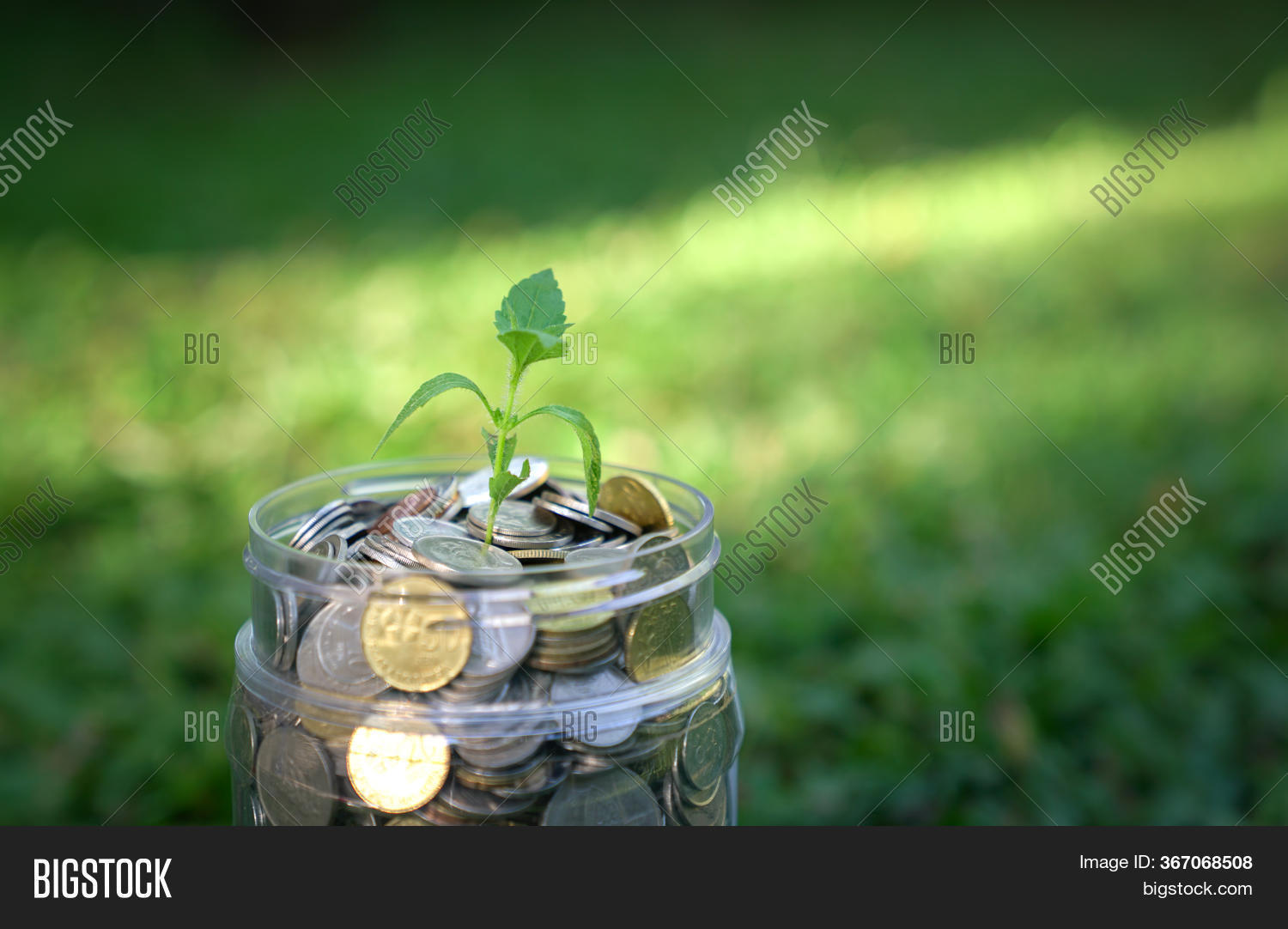 Plant Gowing Pot Money Image & Photo (Free Trial) | Bigstock