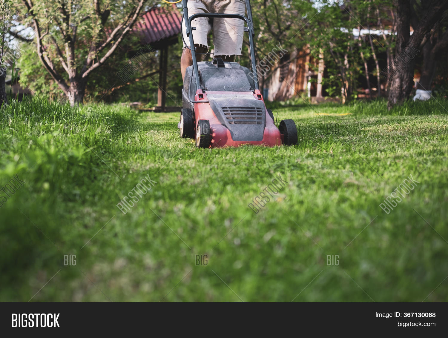 Man Cutting Grass Lawn Image & Photo (Free Trial) | Bigstock