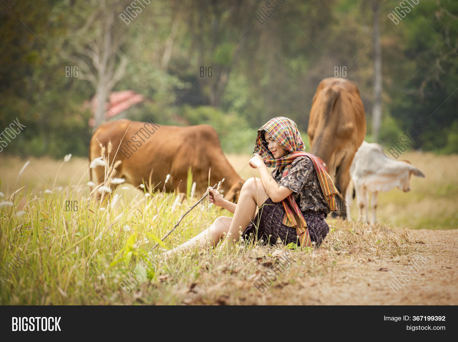 Farmers Raising Cows Image & Photo (Free Trial) | Bigstock