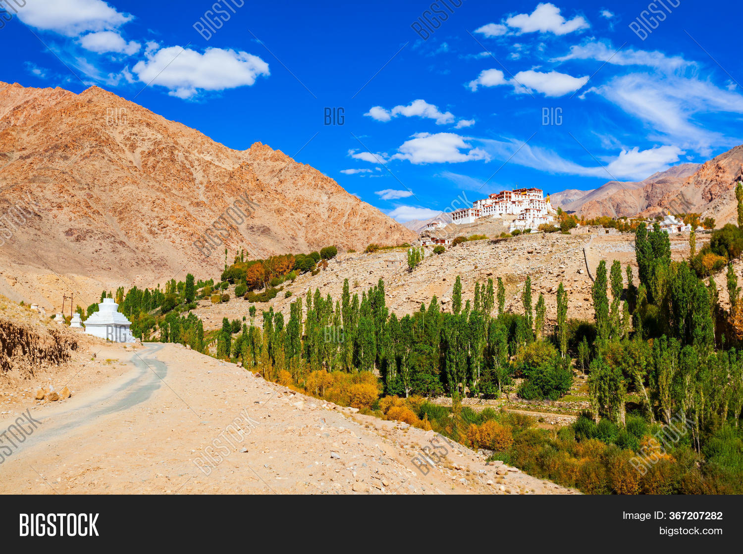Likir Monastery Gompa Image & Photo (Free Trial) | Bigstock