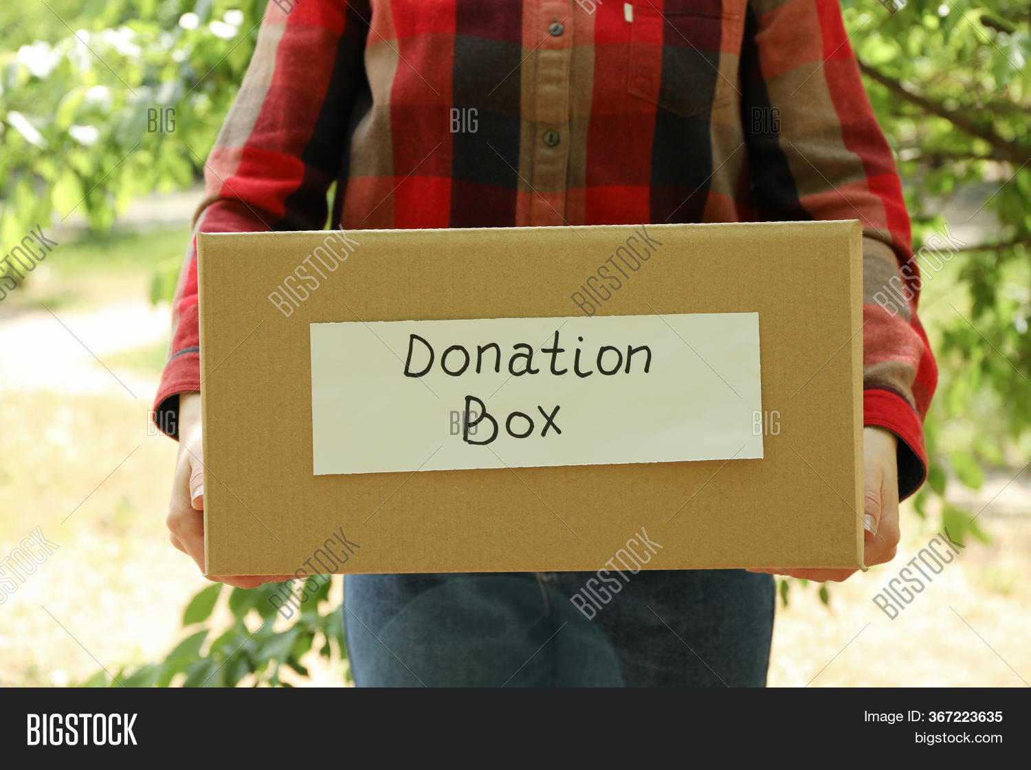 Woman Holding Donation Image & Photo (Free Trial) | Bigstock