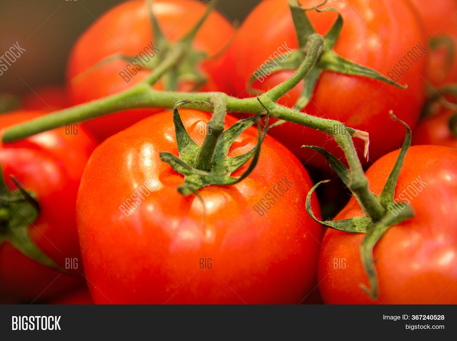 Food Vegetable Tomato Image & Photo (Free Trial) | Bigstock