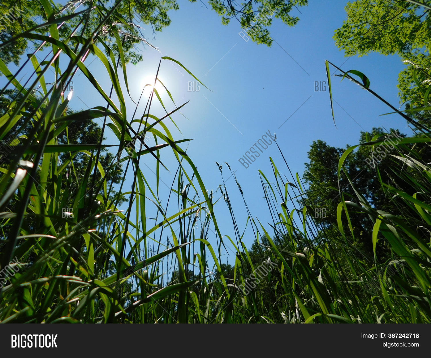 Unique Perspective Image & Photo (Free Trial) | Bigstock