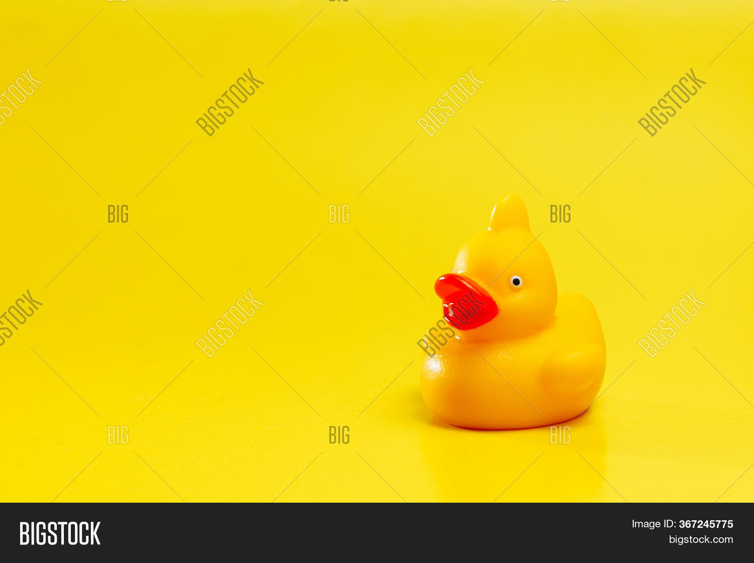 Yellow Rubber Duck Image & Photo (Free Trial) | Bigstock
