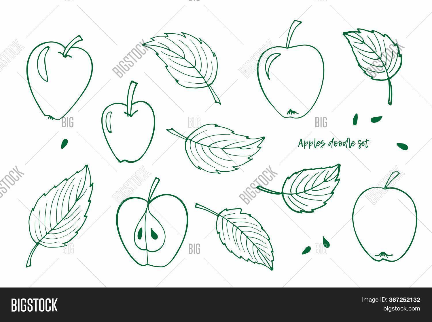 Green Set Line Apples Image & Photo (Free Trial) | Bigstock