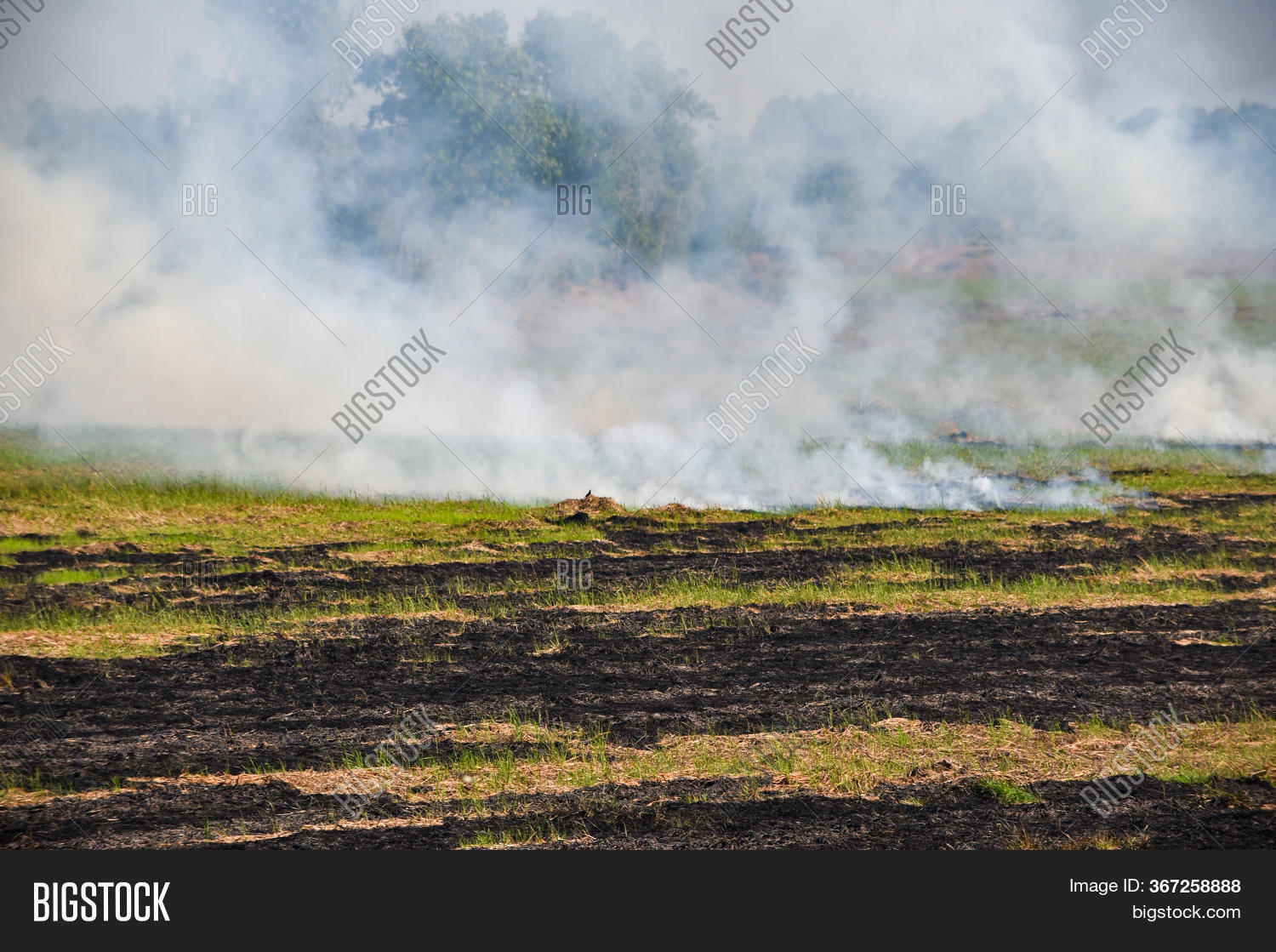 Burning Fields Image & Photo (Free Trial) | Bigstock
