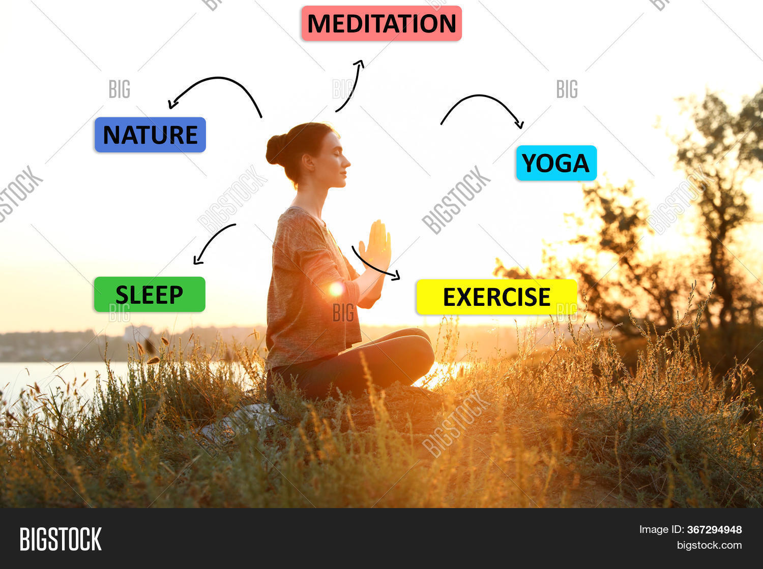 Stress Management Image & Photo (Free Trial) | Bigstock