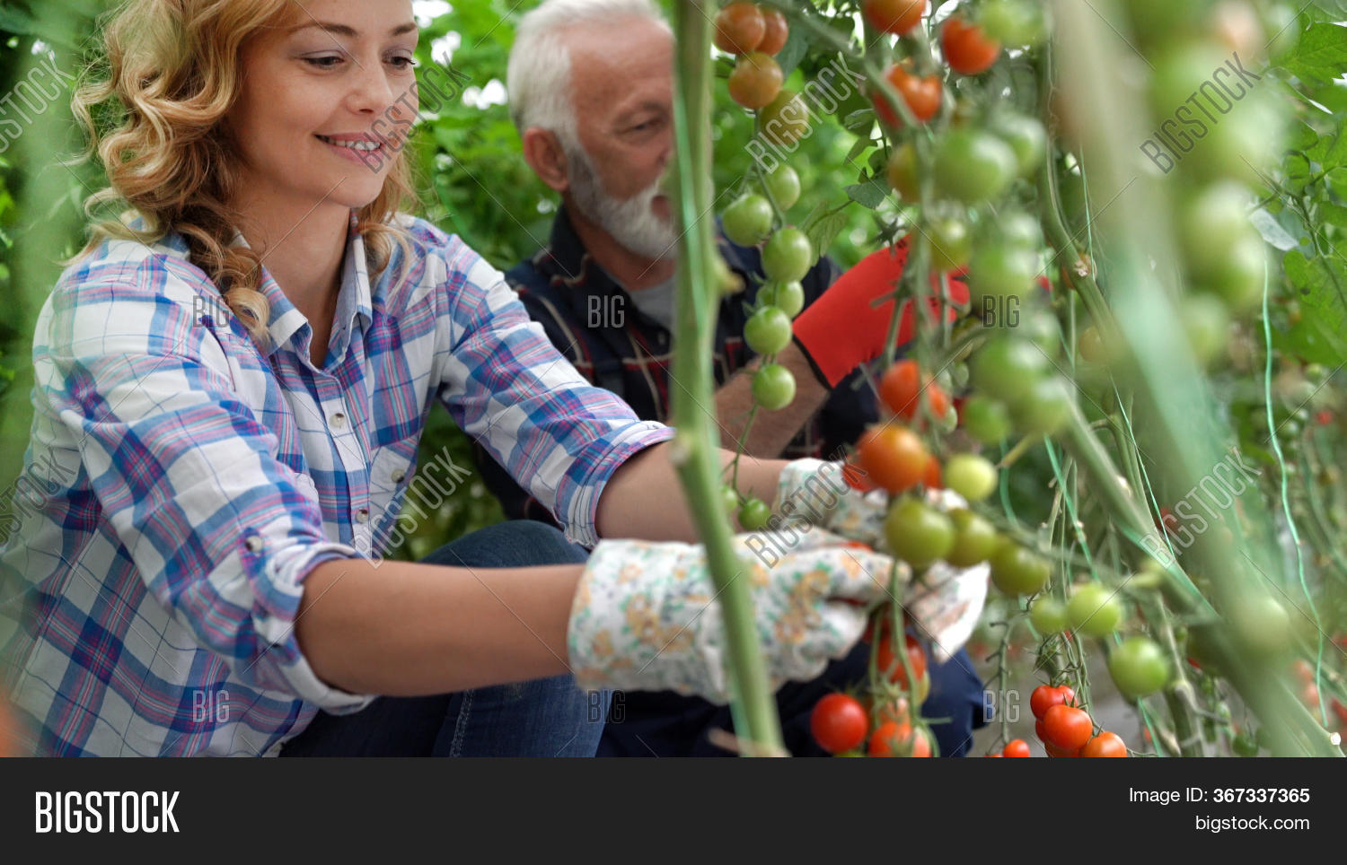 Happy Family Growing Image & Photo (Free Trial) | Bigstock