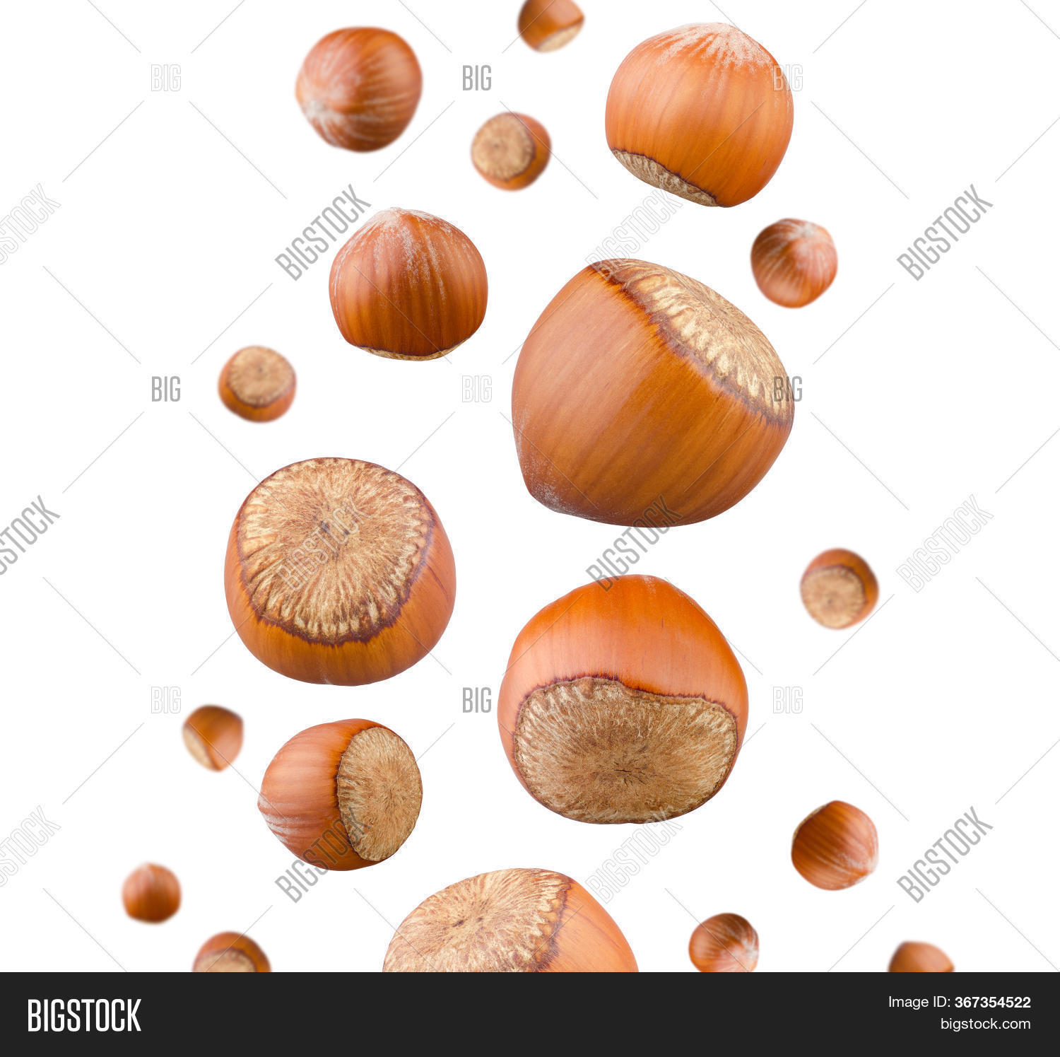 Hazelnuts Falling Image & Photo (Free Trial) | Bigstock