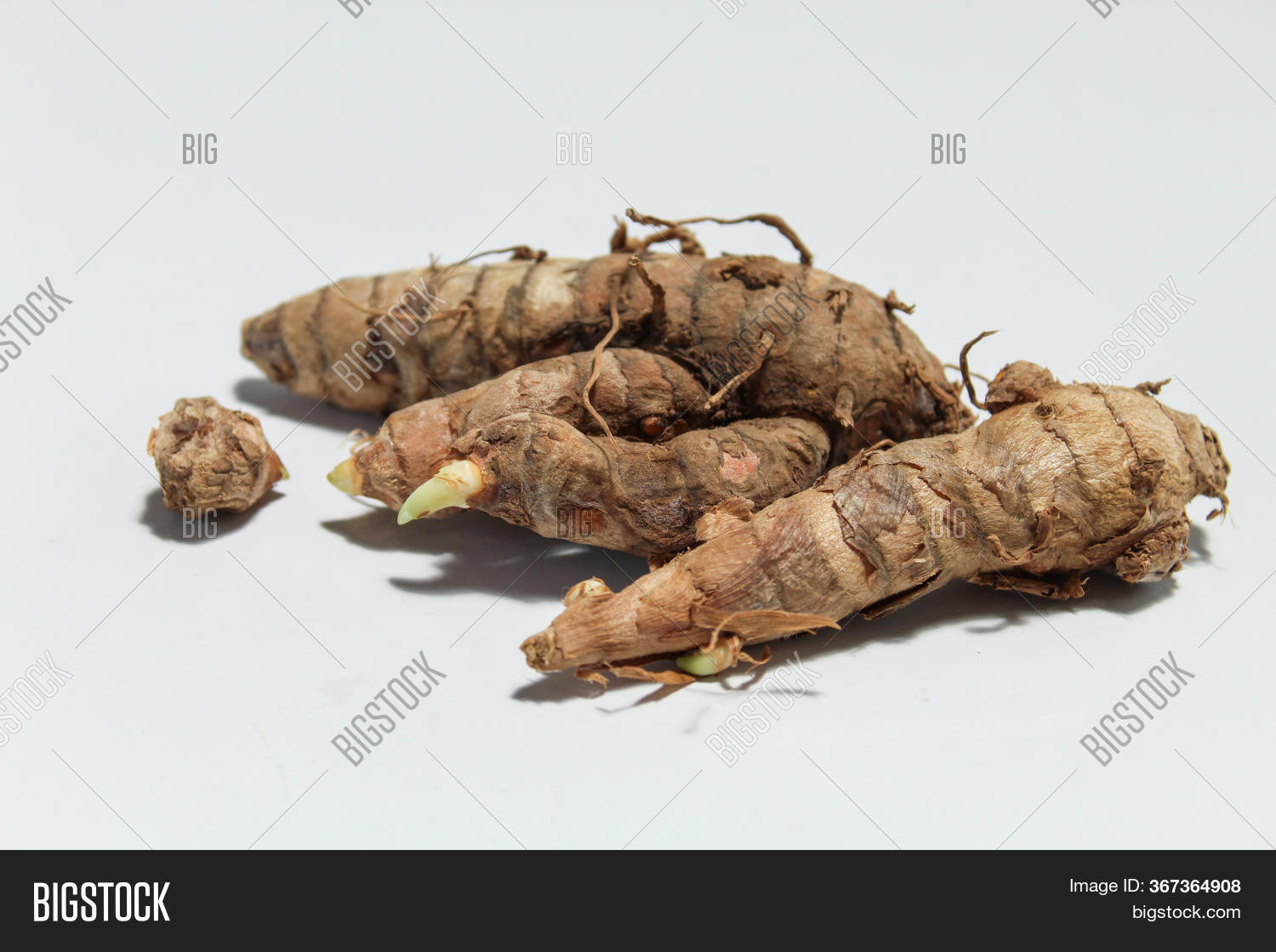 Fresh Ginger Root Image & Photo (Free Trial) | Bigstock